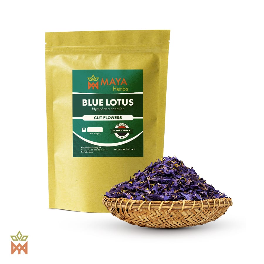 Blauwe Lotus | Blauwe Lelie Bloem | Thailand