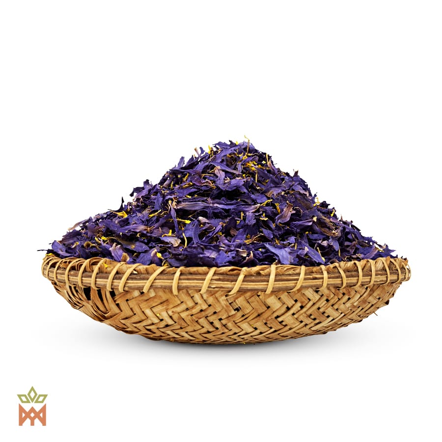 Blauwe Lotus | Blauwe Lelie Bloem | Thailand